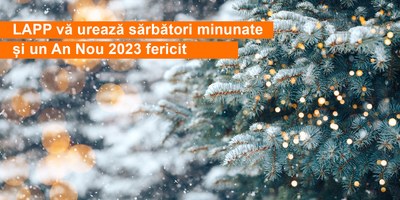 Lapp Romania